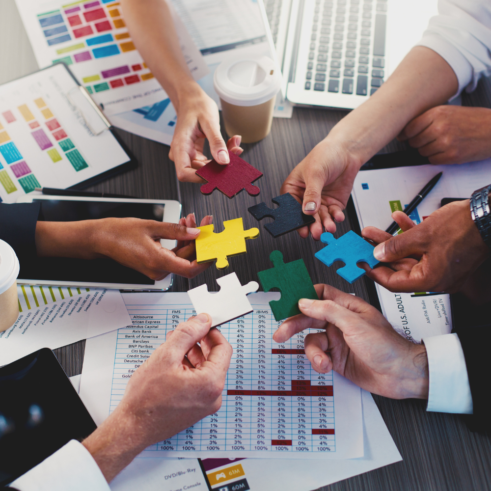 Designing Team Alliances - Group Coaching